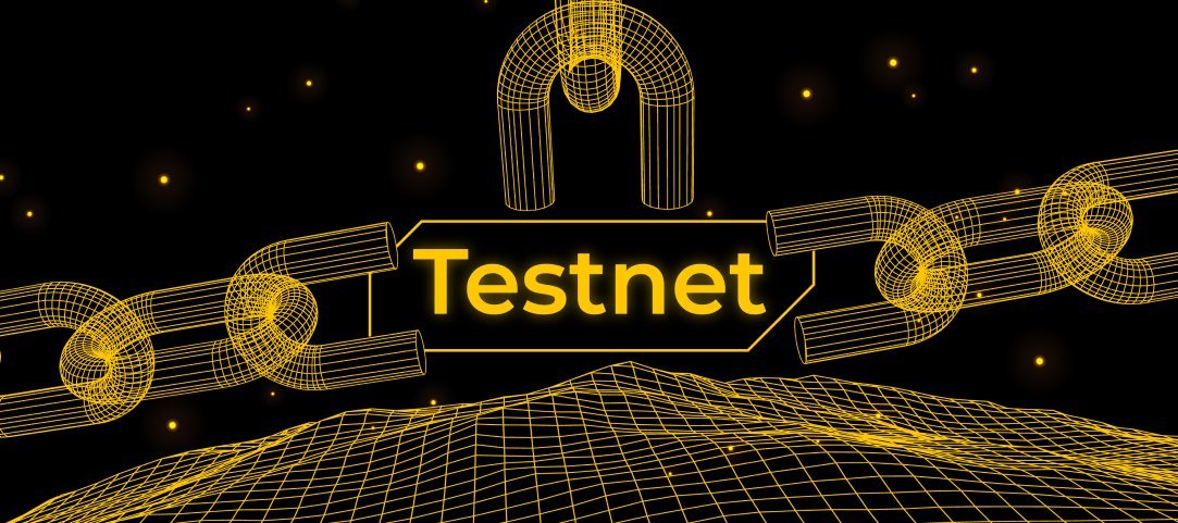 What is a Testnet and How Do People Earn With It?